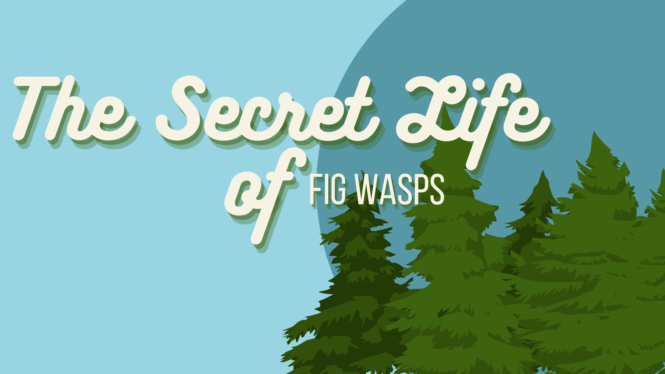 The Secret Life of Fig Wasps: Nature’s Heroes | Dr Sarah Pye