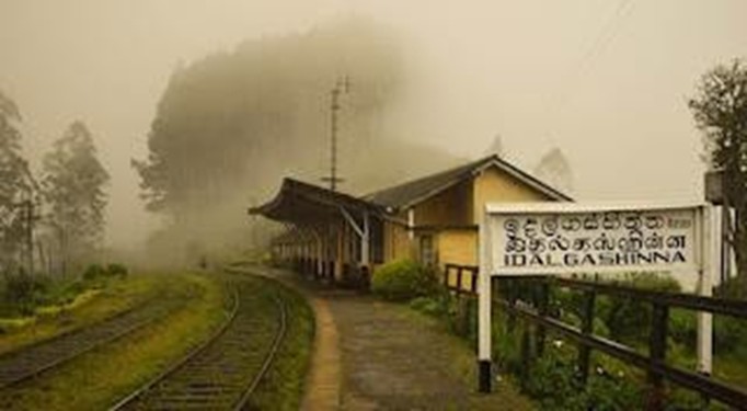The Pekoe Trail | Dr Sarah Pye