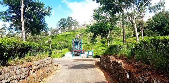 The Pekoe Trail | Dr Sarah Pye